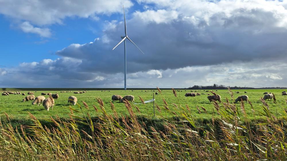 Buienradar.nl - Actuele neerslag, weerbericht, weersverwachting ...
